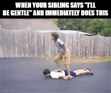 sibling - Imgflip