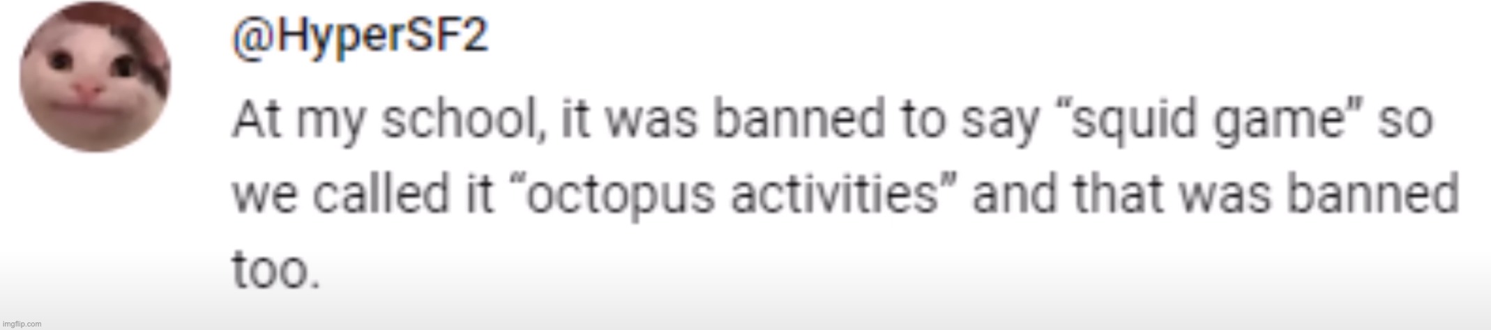 yall up for some octopus activites - Imgflip