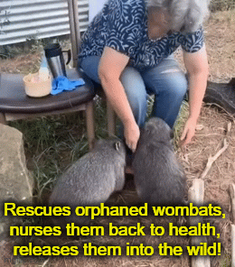 THE Most Adorable Animals EVER! - Imgflip