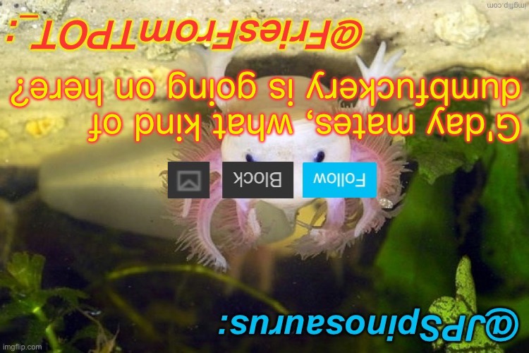 JPSpinosaurus and Fries shared temp - Imgflip