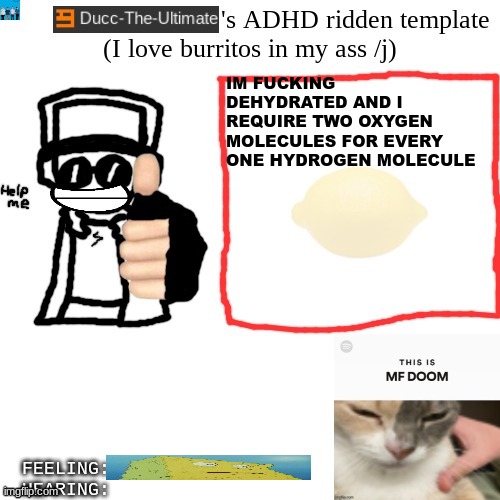 Ducc-The-Ultimate's ADHD ridden template - Imgflip