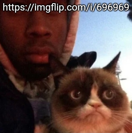 tyler the creator and grumpy cat - Imgflip