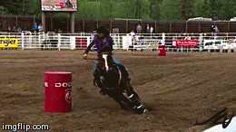 Barrel racing - Imgflip