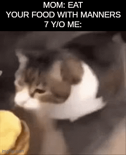 sloppy eating - Imgflip