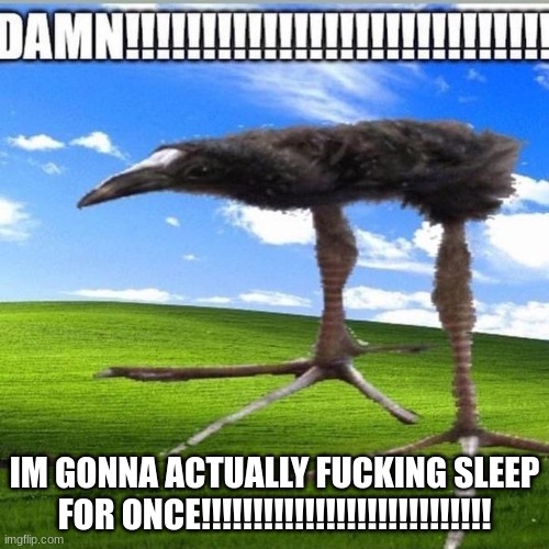 I'm tired- - Imgflip