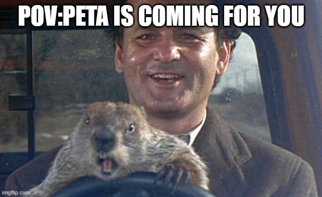 Don't Drive Angry - Imgflip