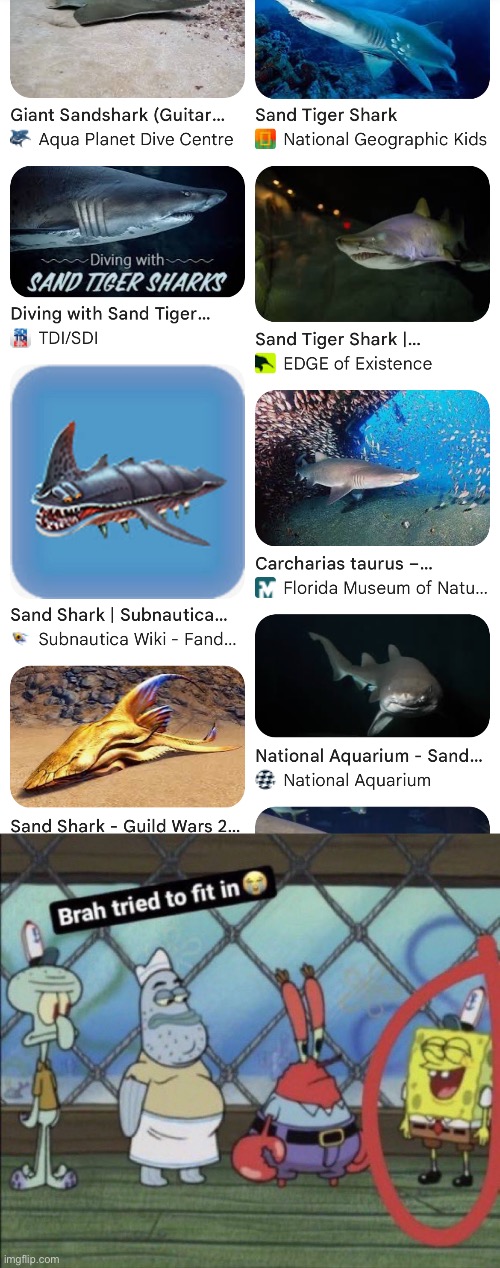 Image tagged in brah tried to fit in - Imgflip