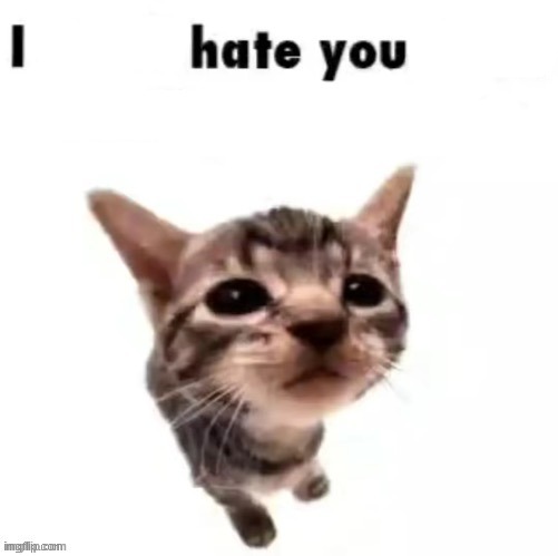 @certain users who know who they are - Imgflip