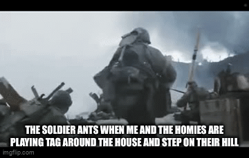 Meteor shower : - Imgflip