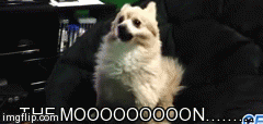 Da Moon - Imgflip