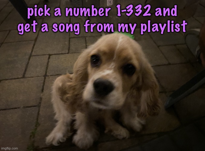 dumb little idiot gnocchi - Imgflip