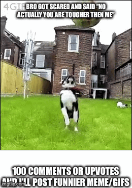 C’mon I already have something I wanna post! - Imgflip