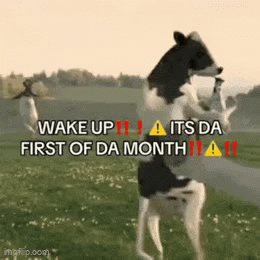 happy February first !! - Imgflip