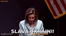 I retort, you deride . . . Did a NATO Tranny Pilot Kill Russian Ice ...