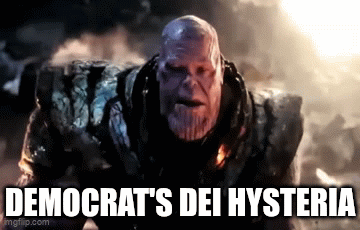 I guess Musk was right. DEI IS DIEing. - Imgflip