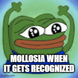Mollosia when it gets recognized - Imgflip