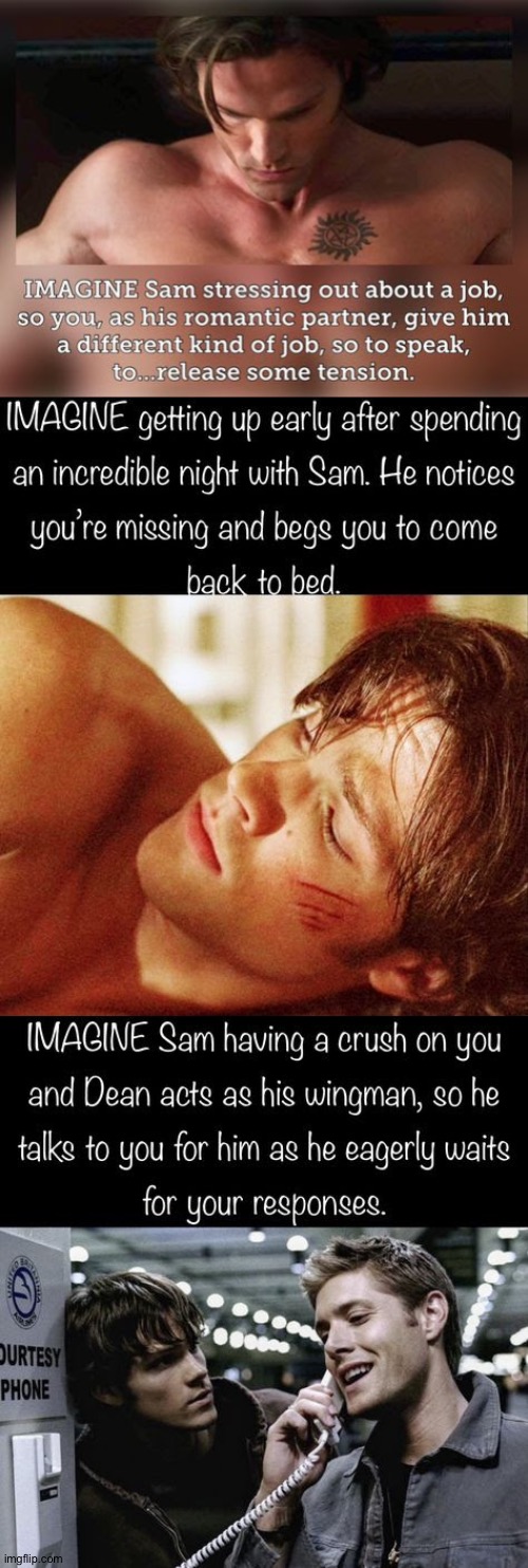 Fucking Disgusting - Imgflip