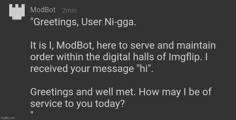 ModBot says the N word - Imgflip
