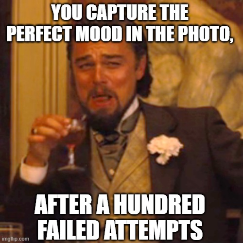 Laughing Leo Meme - Imgflip