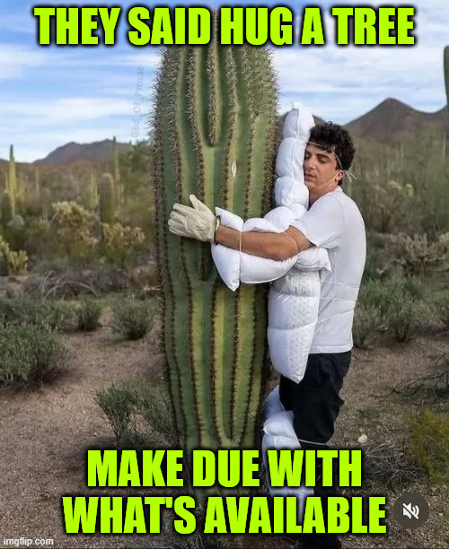 Have you hugged a tree today? - Imgflip