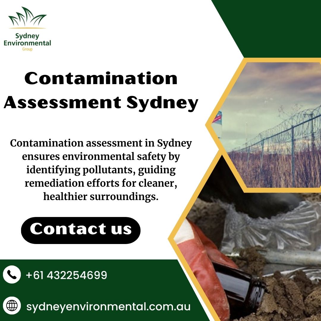 Contamination Assessment Sydney Blank Template - Imgflip