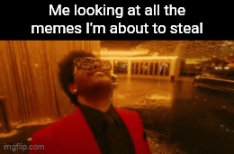 (This is actually a meme I stole) - Imgflip