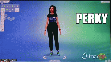 Perky - Imgflip