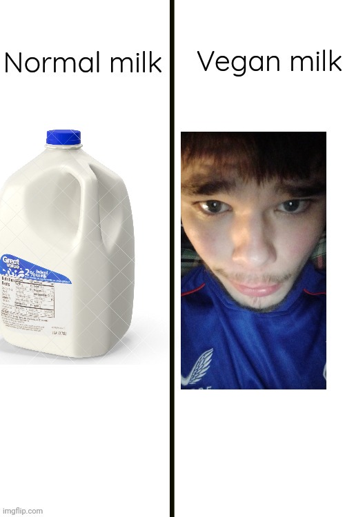 Normal vs Vegan milk - Imgflip
