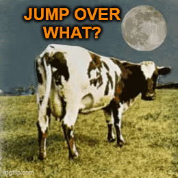 Never taunt a cow - Imgflip