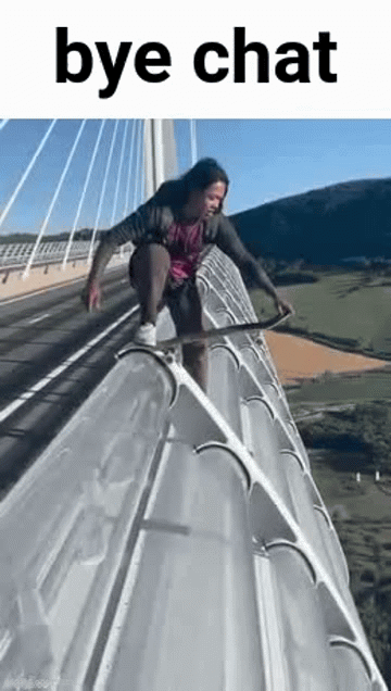 Bye chat - Imgflip