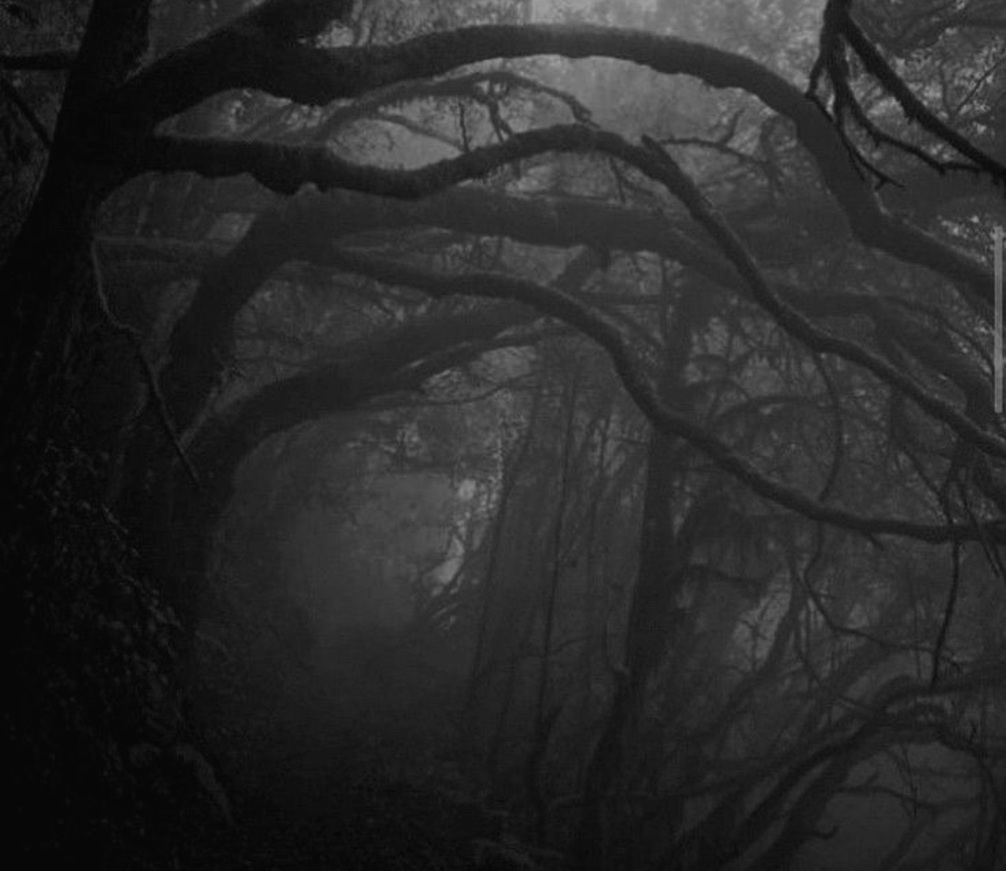 Gnarly Branches. Blank Template - Imgflip