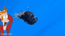 Last year, an anglerfish washed up on an Oregon beach for the first ...