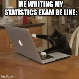 Statistics - Imgflip