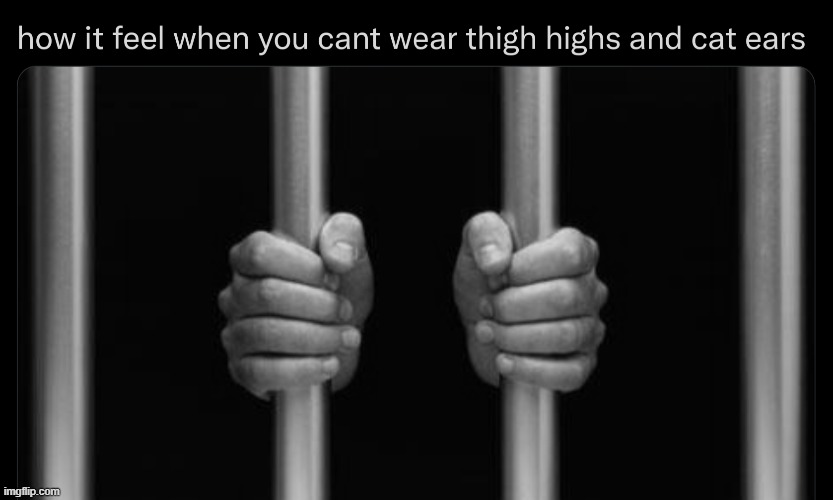 every day is a struggle - Imgflip