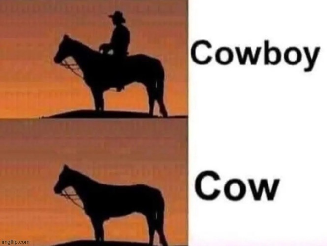 Cow - Imgflip