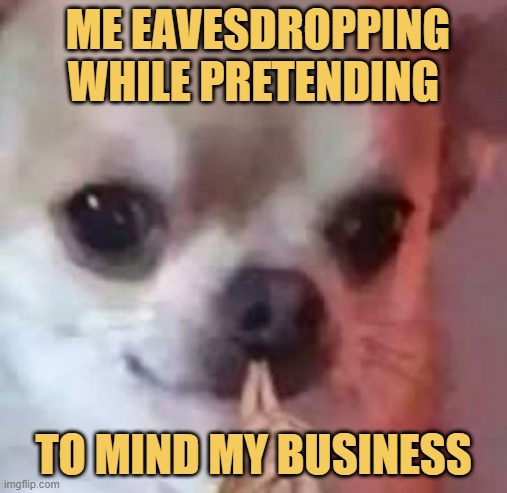 me eavesdropping while pretending - Imgflip