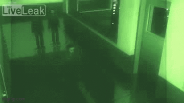 SCD Palace Guard Footage recently found on ToonLeak [GRAPHIC] - Imgflip