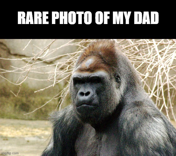 Image tagged in memes,blank transparent square - Imgflip