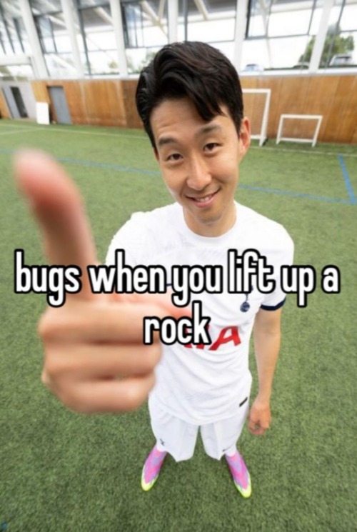bugs when you lift up a rock - Imgflip