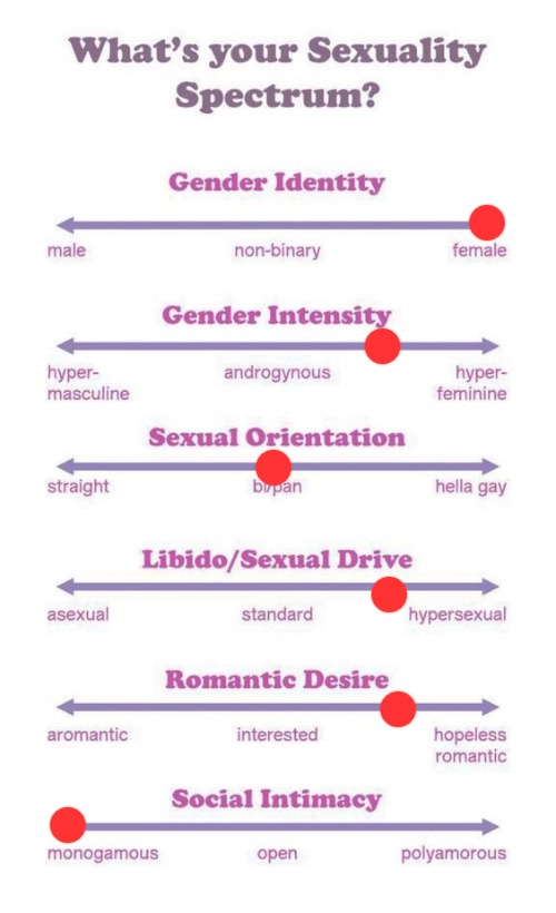 What's your sexuality spectrum? - Imgflip