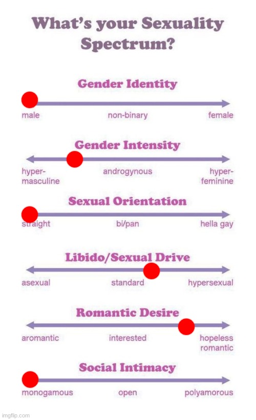 What's your sexuality spectrum? - Imgflip