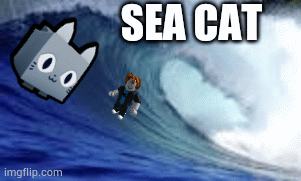 sea cat - Imgflip