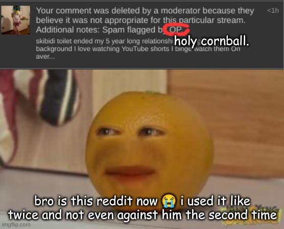 someone go to moderation thingy and check cuz ts stupid af - Imgflip