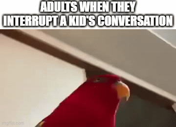 oops... hehe - Imgflip