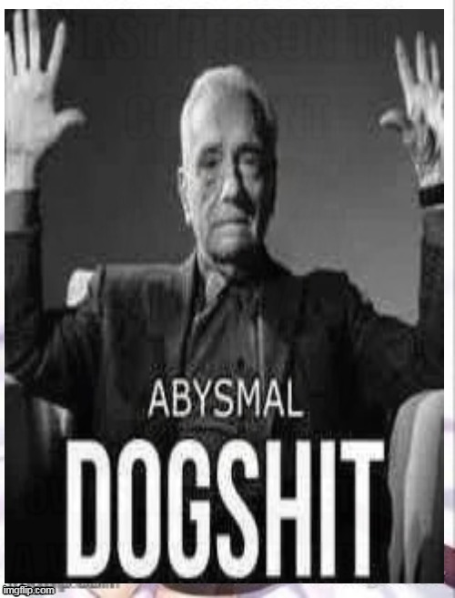 begging to be owned as a pet for attention is a crazy work - Imgflip