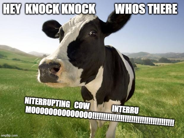 cow - Imgflip