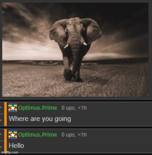 I'm done texting elephants - Imgflip