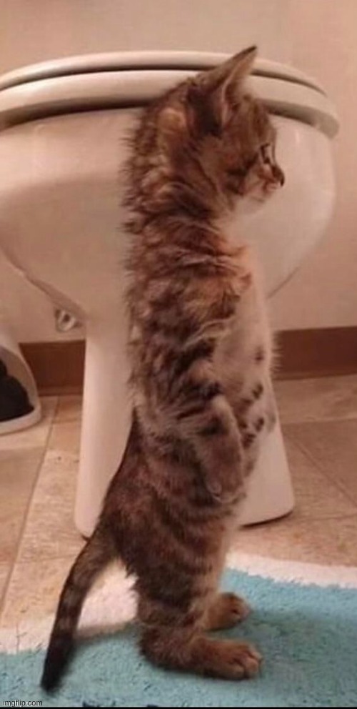 Ooh scary blood - Imgflip