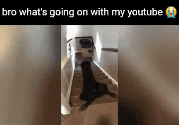 help meeeeee - Imgflip