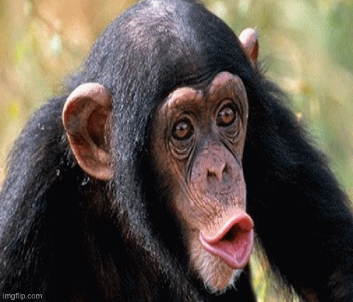 ooh ee ooh ah ah ting tang walla walla bing bang! - Imgflip